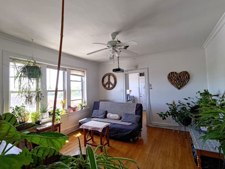 3rd Flr Penthouse By Northeastern Illinois Unvrsty - Chicago, IL