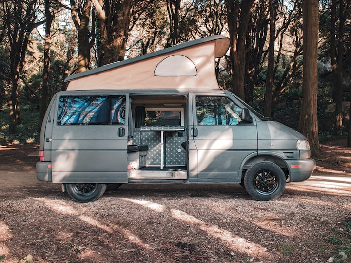 Camper Van - Vw Westfalia - Skully & Cactus - Loures