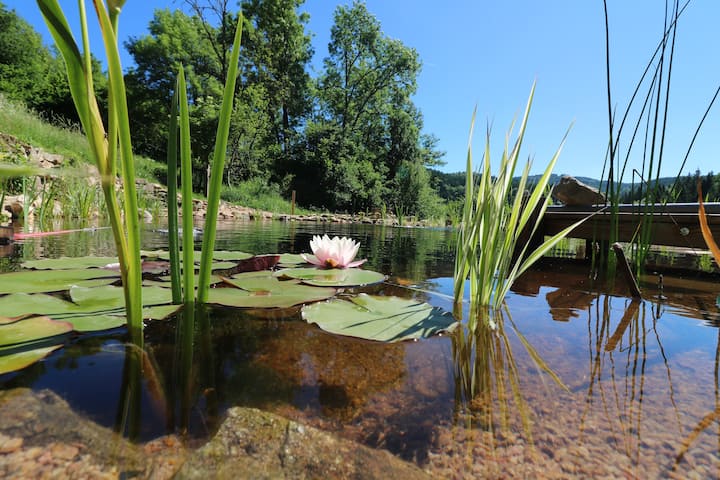 Luxury Yurt Campsite: Periwinkle Yurt - Auvergne