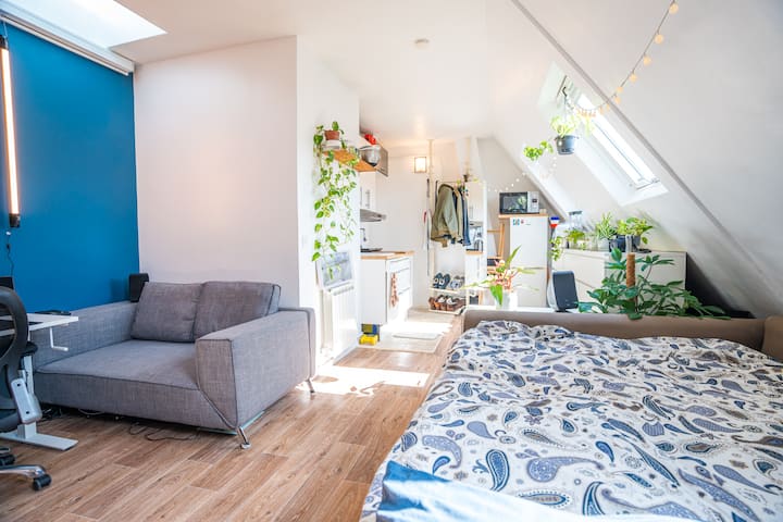 Studio De 35m2, Avec Projecteur De 3m & Fibre - Place Vendôme