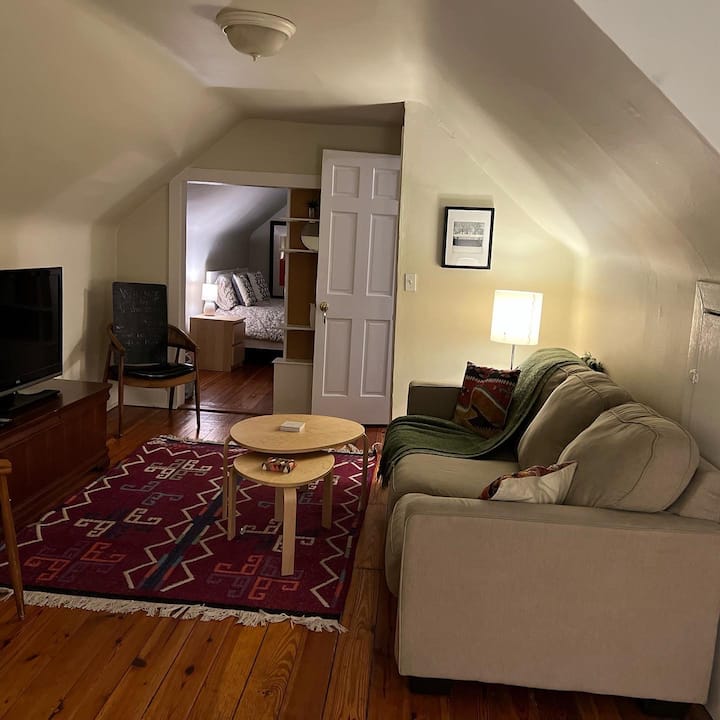 The Treehouse Apt In Logan Square - Chicago, IL