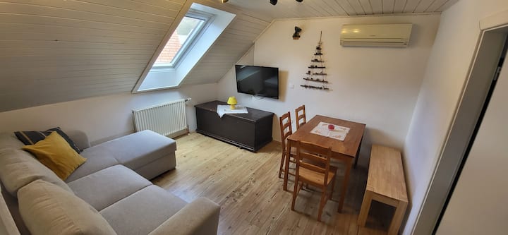 6 Bdr Apartment Bohinj Lake, Triglav National Park - 斯洛維尼亞