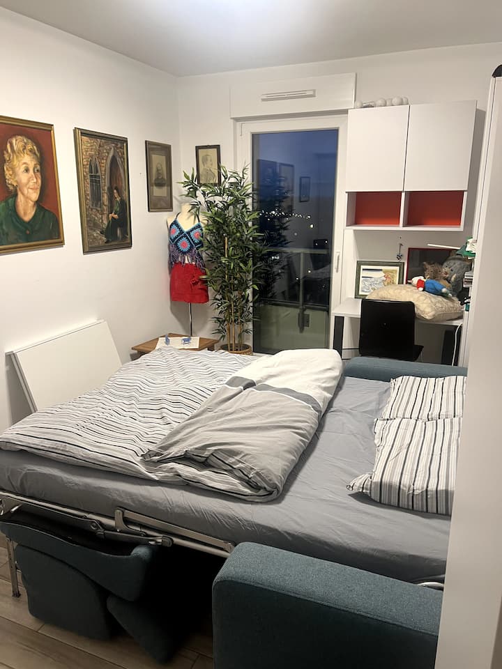 Chambre (Appart) Superbe Vue - Petit Déj Inclut - Strassburg