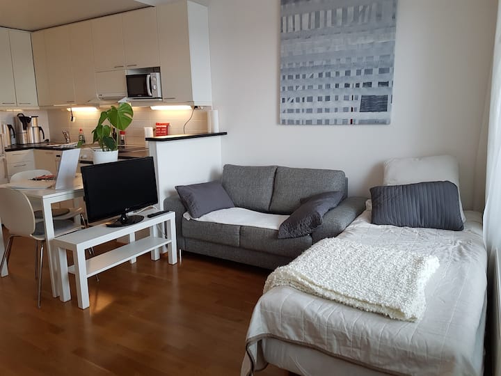 Top Floor Apartment (+Sauna+balgony+wifi) - Rovaniemi