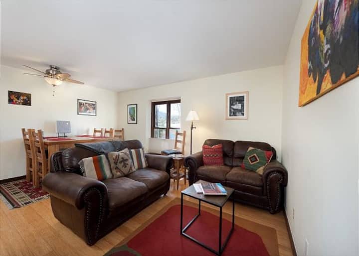 Beautiful 2bd Condo In Historic Downtown Durango - Durango, CO