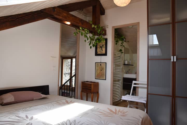 Chambre Chez L'habitant En Centre Ville De Tarbes. - Tarbes