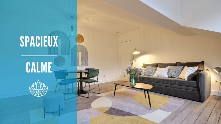 Joli Et Confortable Dans Le Centre | Cl3 - Seraing