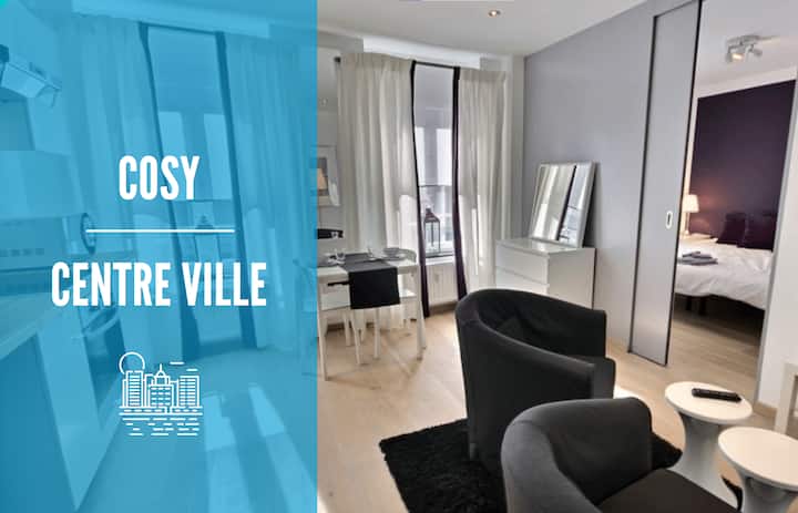 Beautiful And Comfortable Downtown Condo | Cl4 - Liege