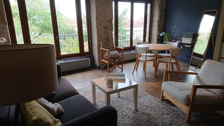 Appartement Pentes Croix Rousse - Lyon