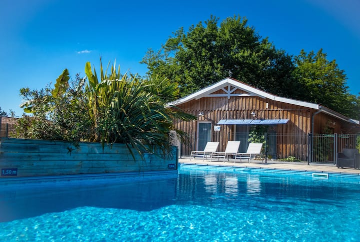 Villa Avocette, Bassin D'arcachon, Piscine, Spa - Le Teich