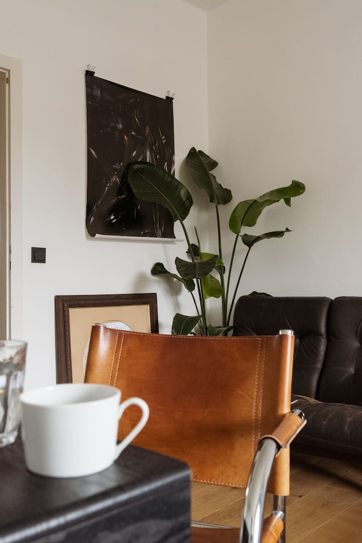 Apartment — Central — Quiet — Bright - Köln