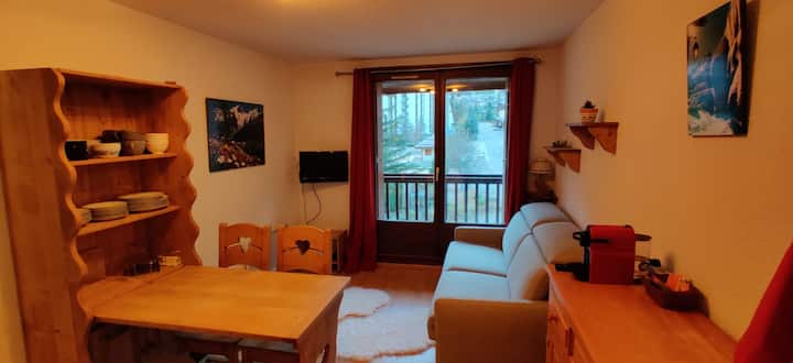 Appartement Grand Sud 4/5 Personnes Proche Pistes - La Salle les Alpes