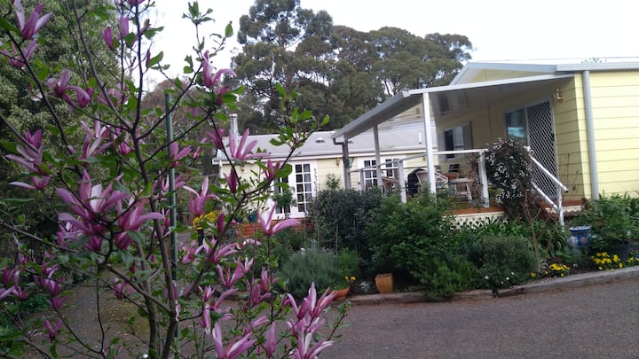 Best Exotic Magnolia Cottage - Exeter