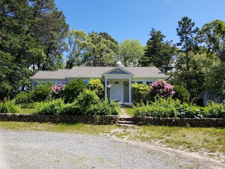 Scallop's Nest - Dennis