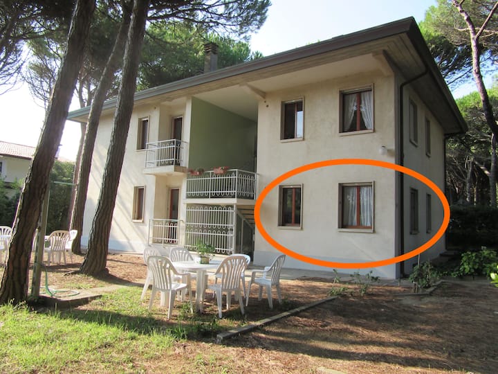 Le Calendule Tn Apt.: Into Pinewood Beside The Sea - Eraclea Mare