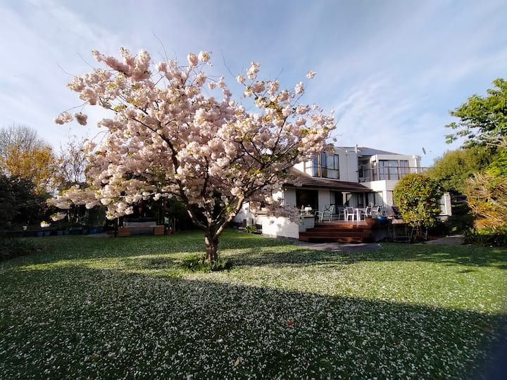 Big Value,quiet,2-bed(q&s),b&b,nr City/uni/airport - Christchurch