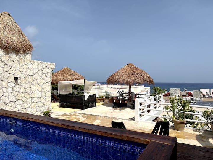 Your Private Oasis: Flamingo Penthouse Cozumel - Quintana Roo