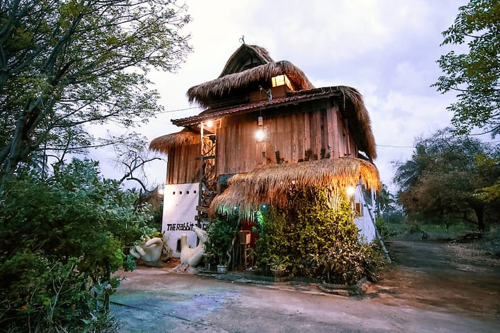 Single Tiny Bedroom At The Rabbit Tree Hostel - Gili Islands