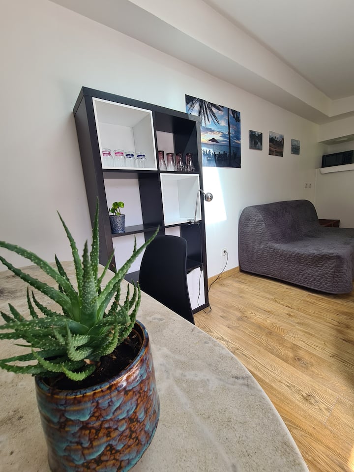 Studio Paisible 15mn Centre De Bordeaux 10mn Gare - Bègles