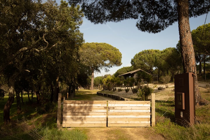 The Nature House - The Cabin - Comporta