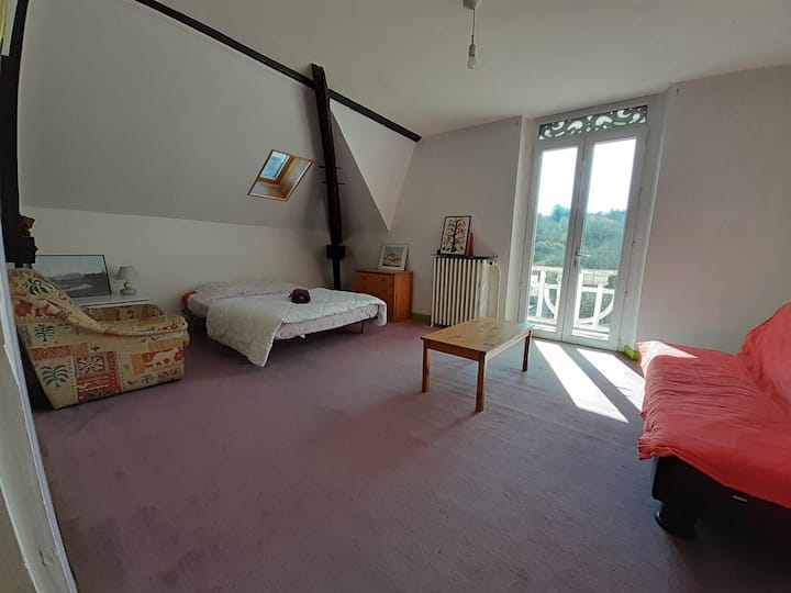 Chambre Spacieuse - Tulle