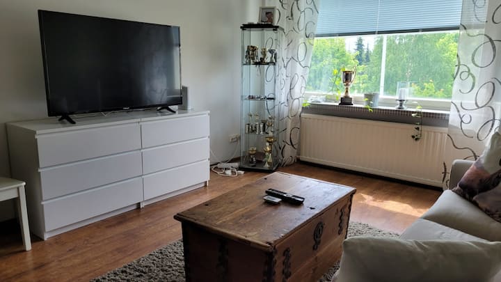 Huoneisto Kaupungissa Lahden Keskusta 1,5 Km - Lahti