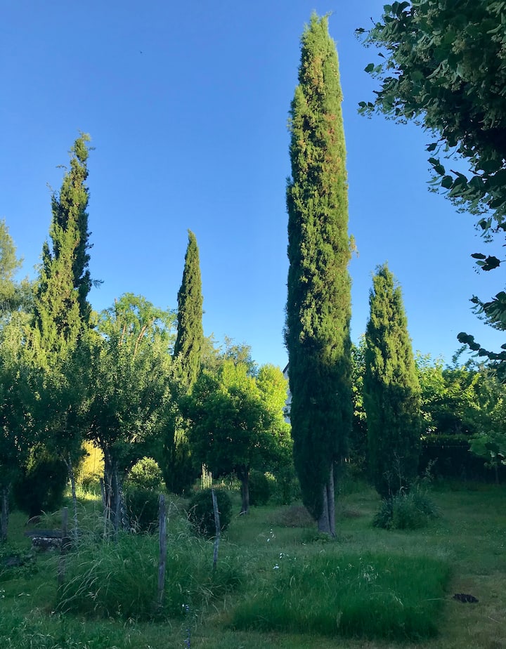 L’oiseau Vert - Maison Ancienne Dans La Verdure - Saint-Avertin