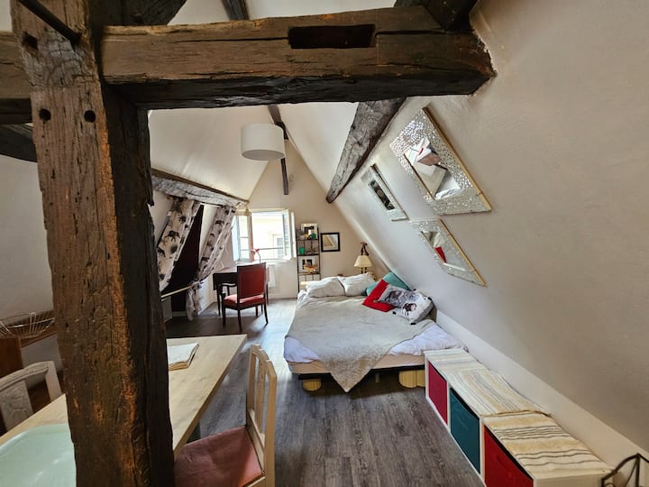 Studio Dans Le Centre Ancien - Le Mans