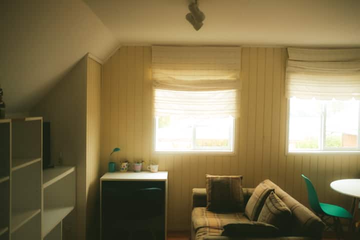 Beautiful, Cozy Cabin, In Isla Teja, Valdivia. - Valdivia