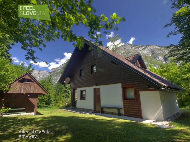 Apartment In Forest, 300 M From Lake Bohinj - Stara Fužina
