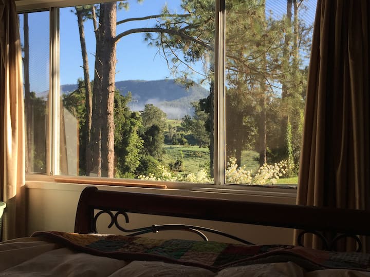 Little River Bach - Pet Friendly Cabin On The Mary - Kenilworth