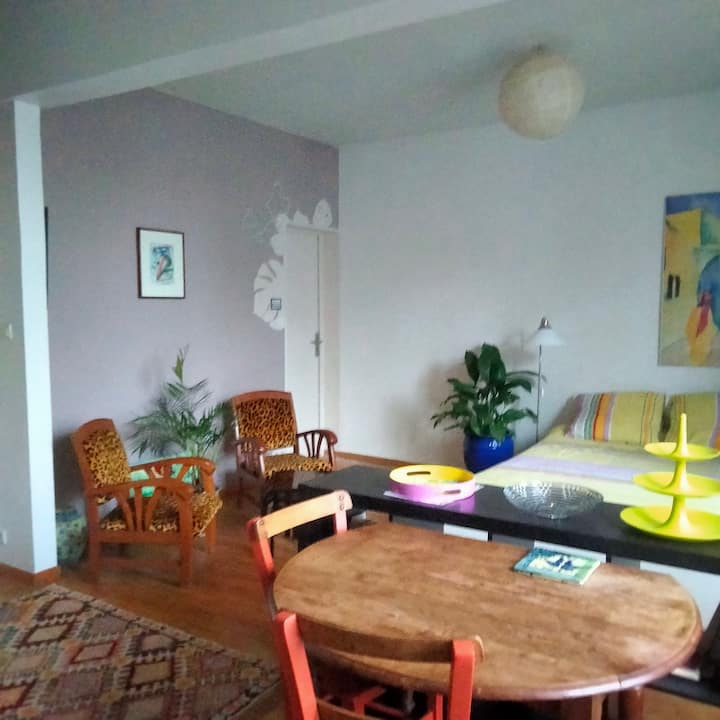 Grand Studio Calme Et Lumineux - Toulouse