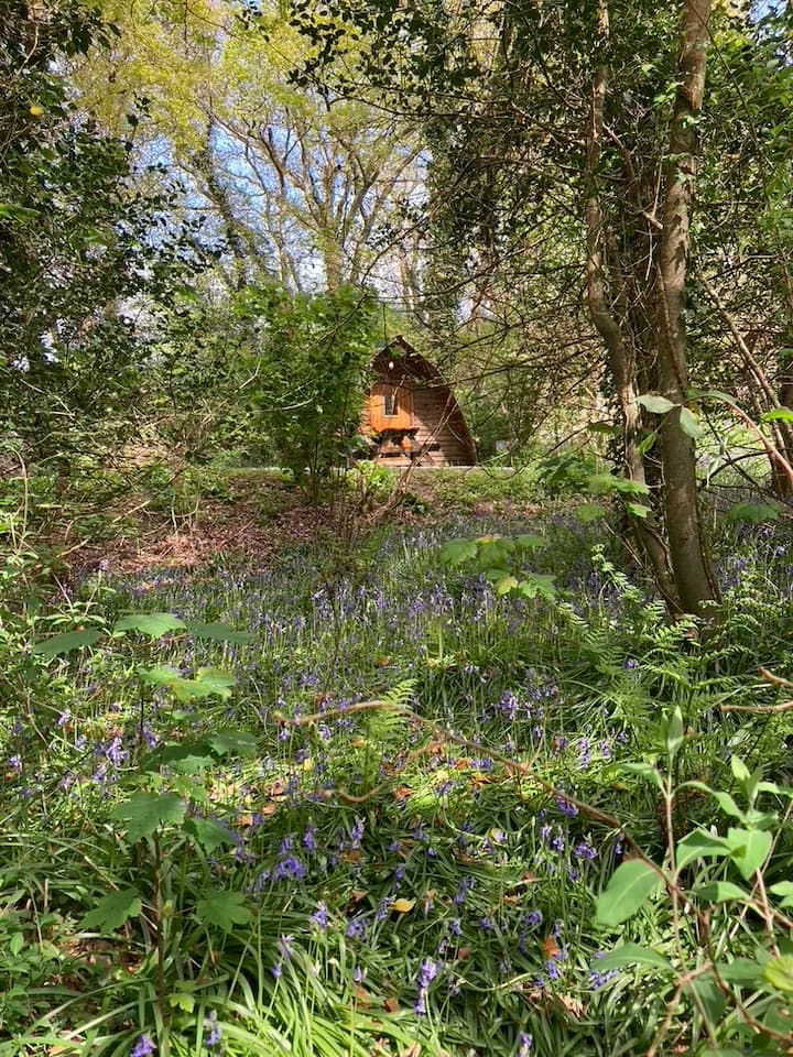 The Valley Pod - Bodmin