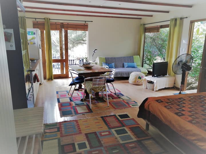 Spacious Studio With Sunny Deck In Tamboerskloof - Claremont
