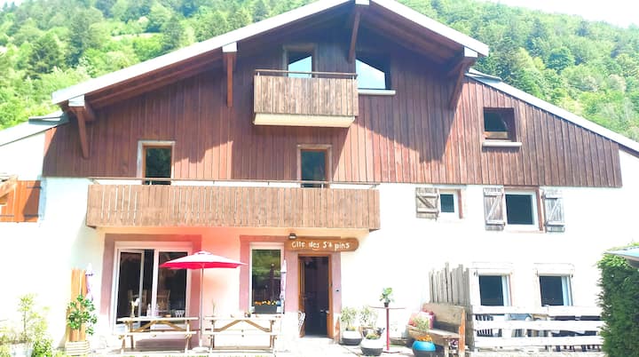 Gîte Des Sapins 3*/7 Chambres / Baby-foot/sauna - Vosges
