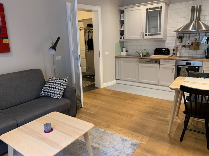 Forum I Apartment In Old City Center Ljubljana - Ljubljana