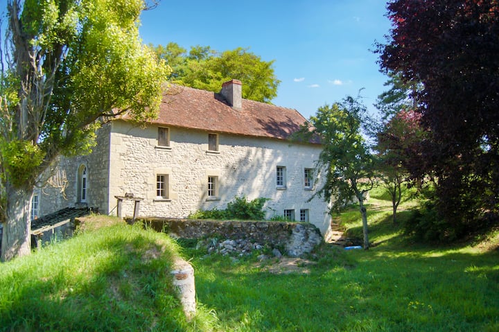 Le Moulin De Gaudais, 15p, 7ch, 350m2, Piscine - Châtellerault
