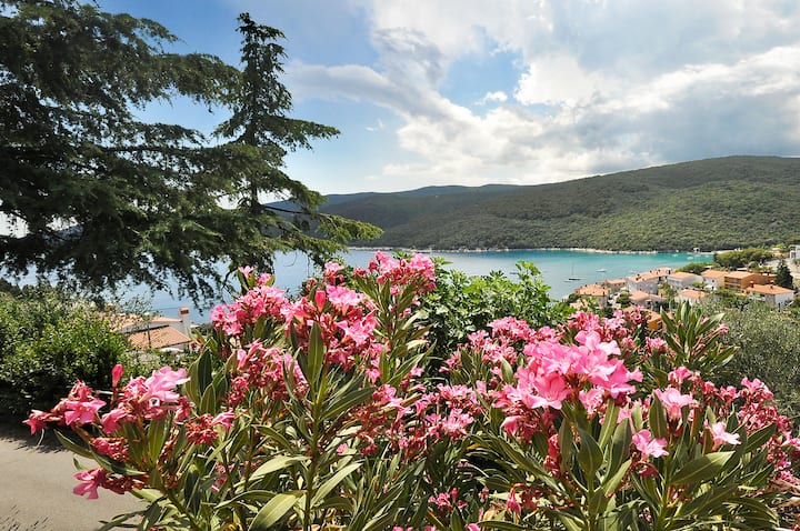 Apartment  For 4 With Partial Sea View - Rabac
