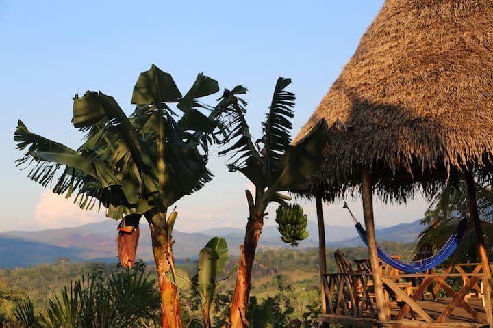 Maison Entre Forêt Et Ville - Moyobamba