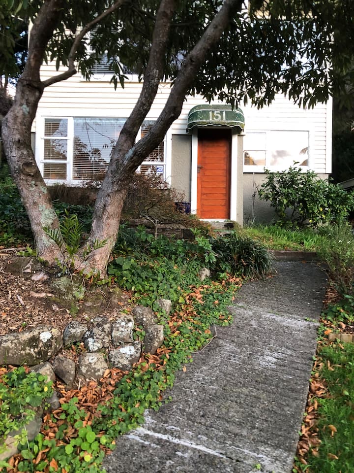 Close To Nature & City - Wellington