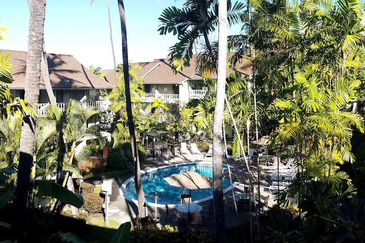 Modern Studio Condo In Downtown Kona. - Kailua-Kona, HI