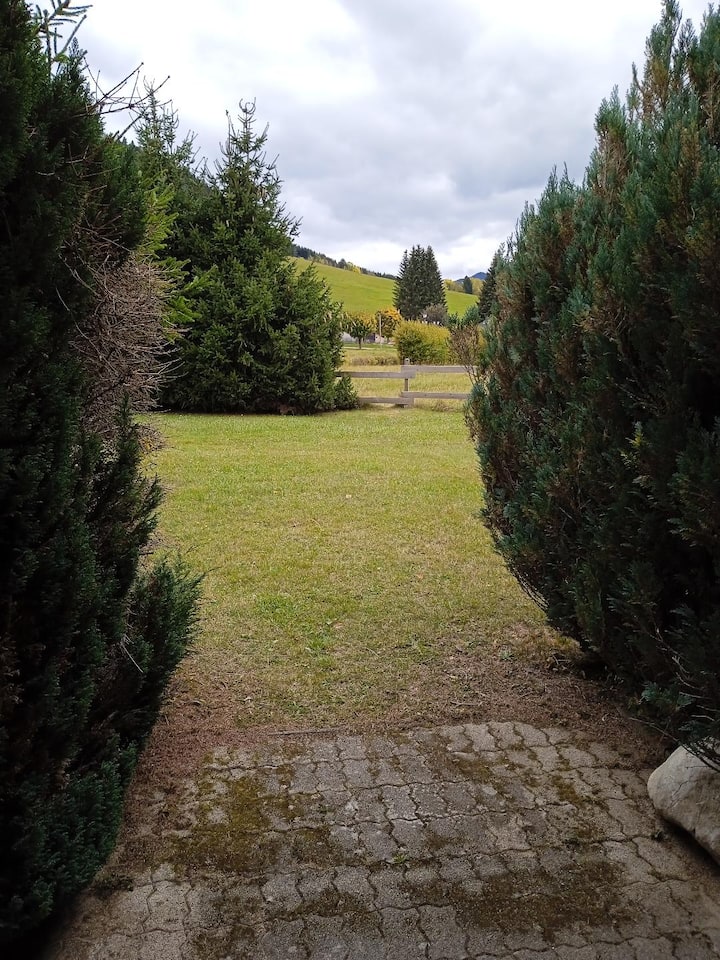 Charmant Studio 15m2 Wifi Terrasse - Autrans