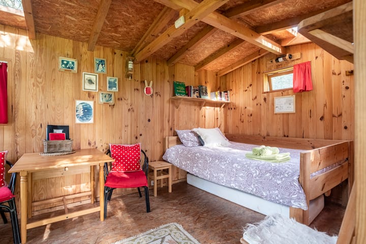 Caeiro's Tree By The Beach - Sesimbra