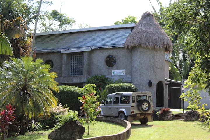 Couple's Modern Jungle Loft - Belize