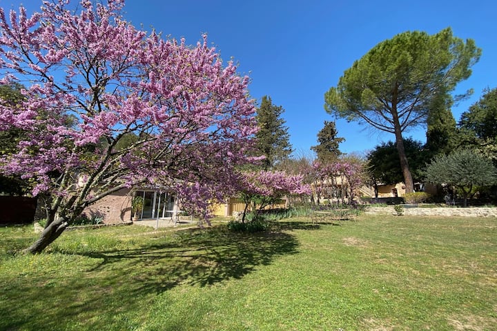 Suite Au Luxe Authentique Avec Piscine Et Jacuzzi - Lorgues