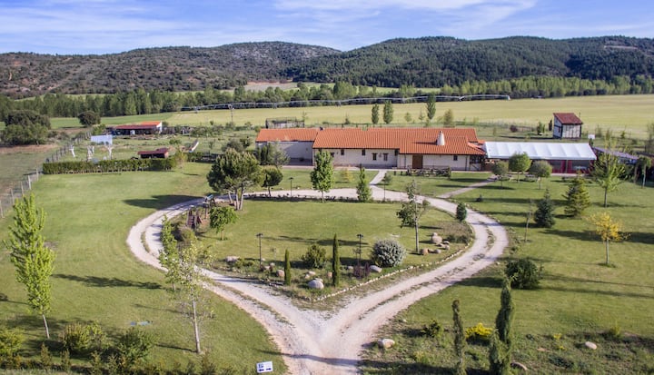 Casa Bioclimática- Sabinares Del Arlanza - Covarrubias