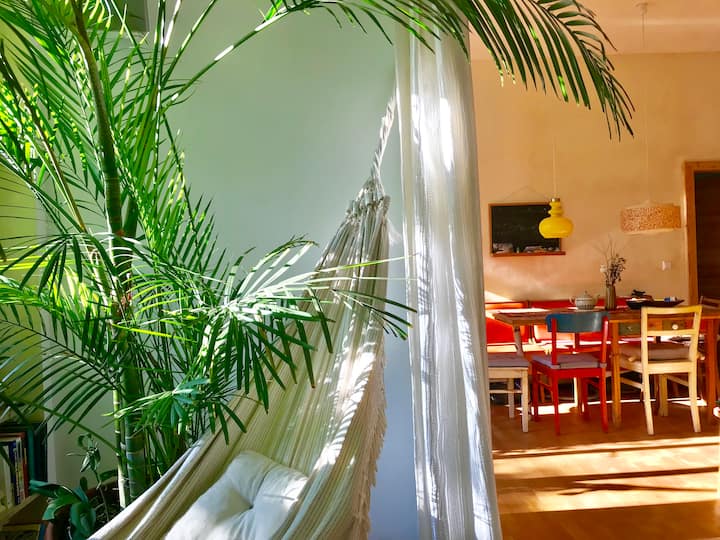 Spacious Apartment In Green Central Area - Dresden