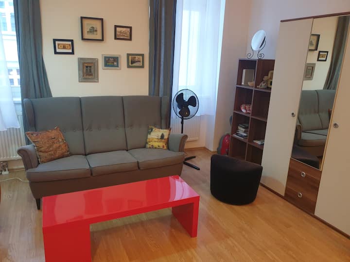 Cute Apartment Walking Distance From City Center - Vienne