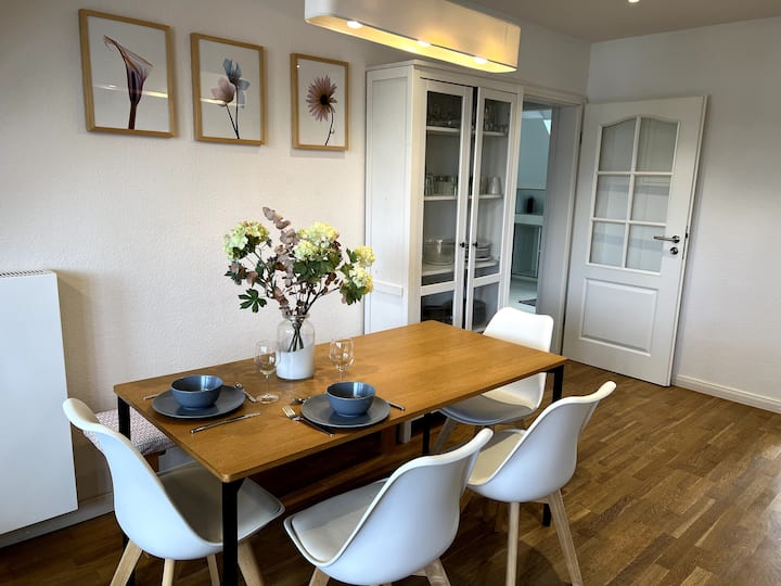 Freshly Renovated Apartment For 8p - Rheinfelden (Baden)