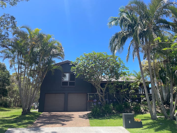 Dolphins. - Byron Bay